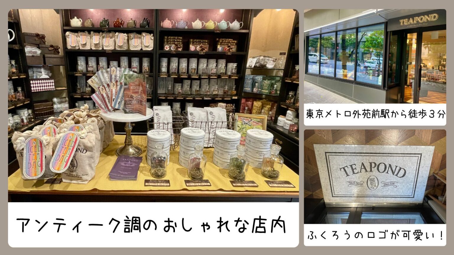【訪問レポ】紅茶専門店TEAPOND（ティーポンド）青山店でテイクアウト・ティータイム！ | maison du cha