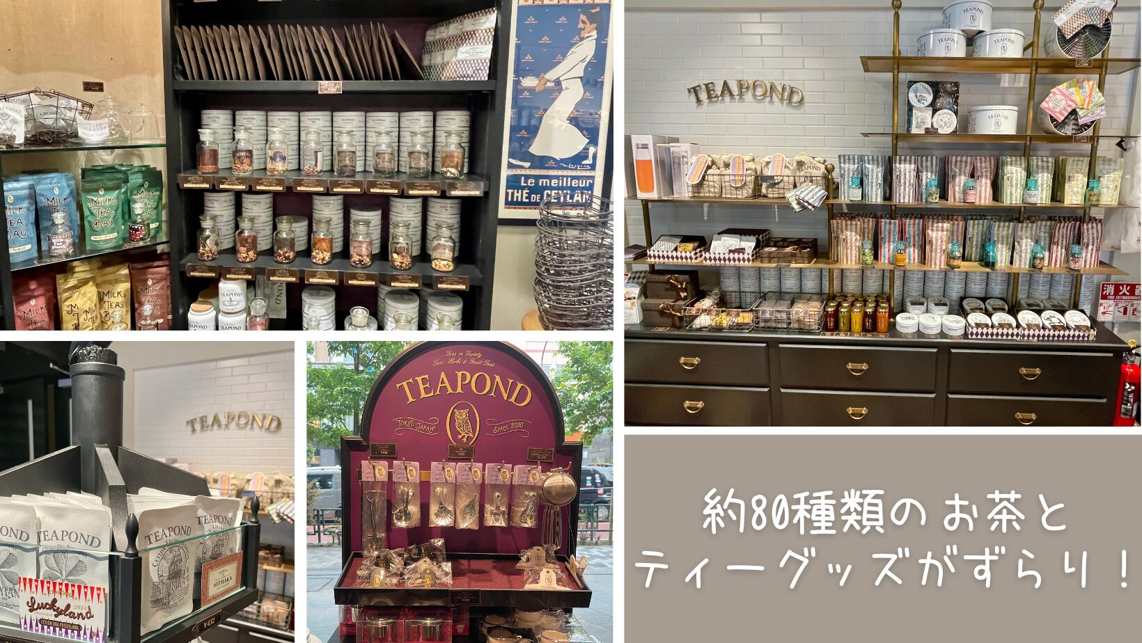 【訪問レポ】紅茶専門店TEAPOND（ティーポンド）青山店でテイクアウト・ティータイム！ | maison du cha